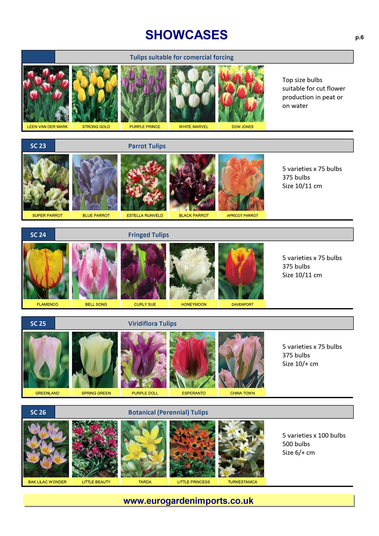 Summer Flowering Bulbs Spring Range