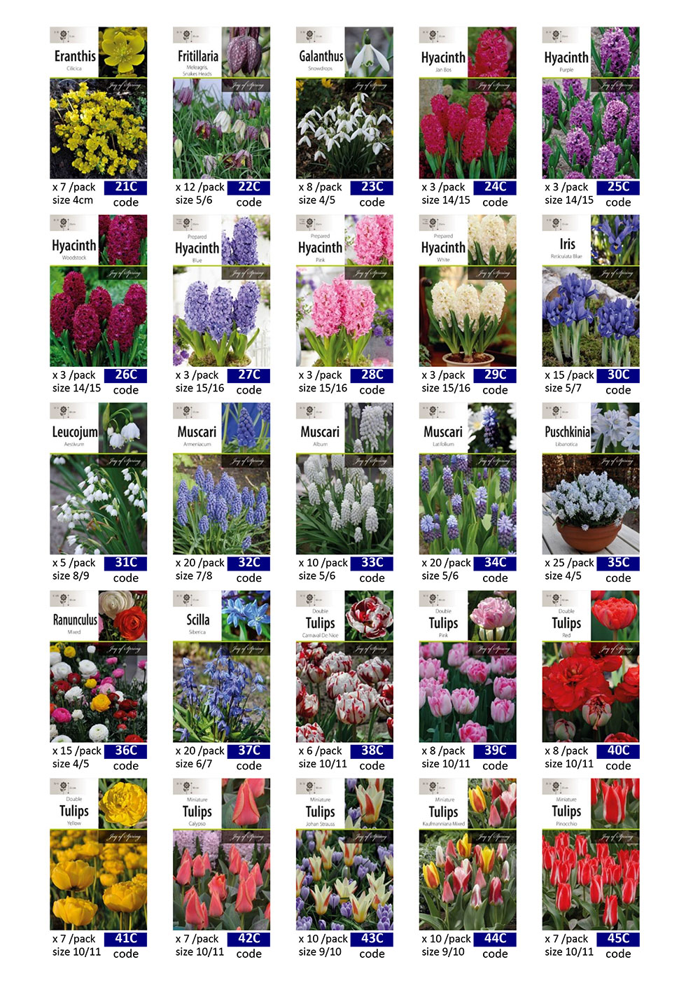 Wholesale Flower Bulbs, Potted Bulbs, Perennials & Lilies