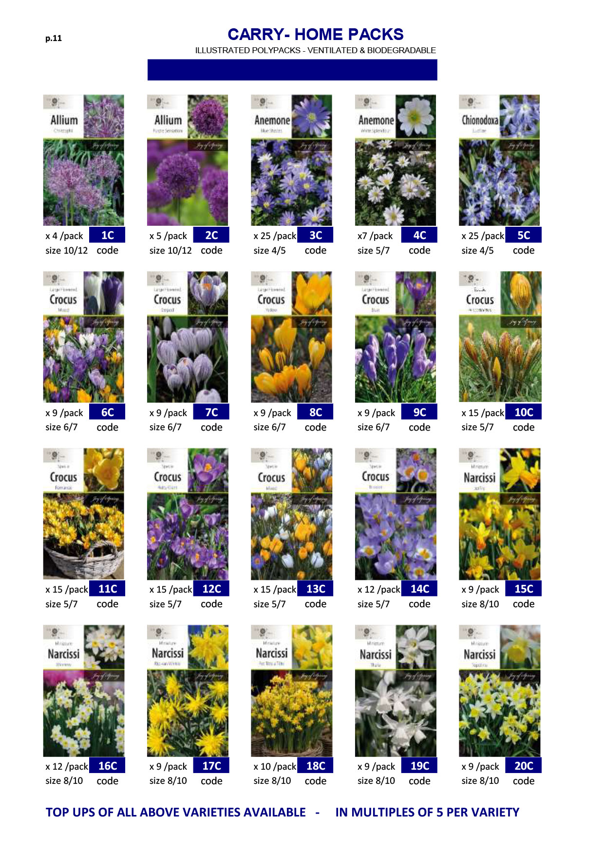 Summer Flowering Bulbs Spring Range