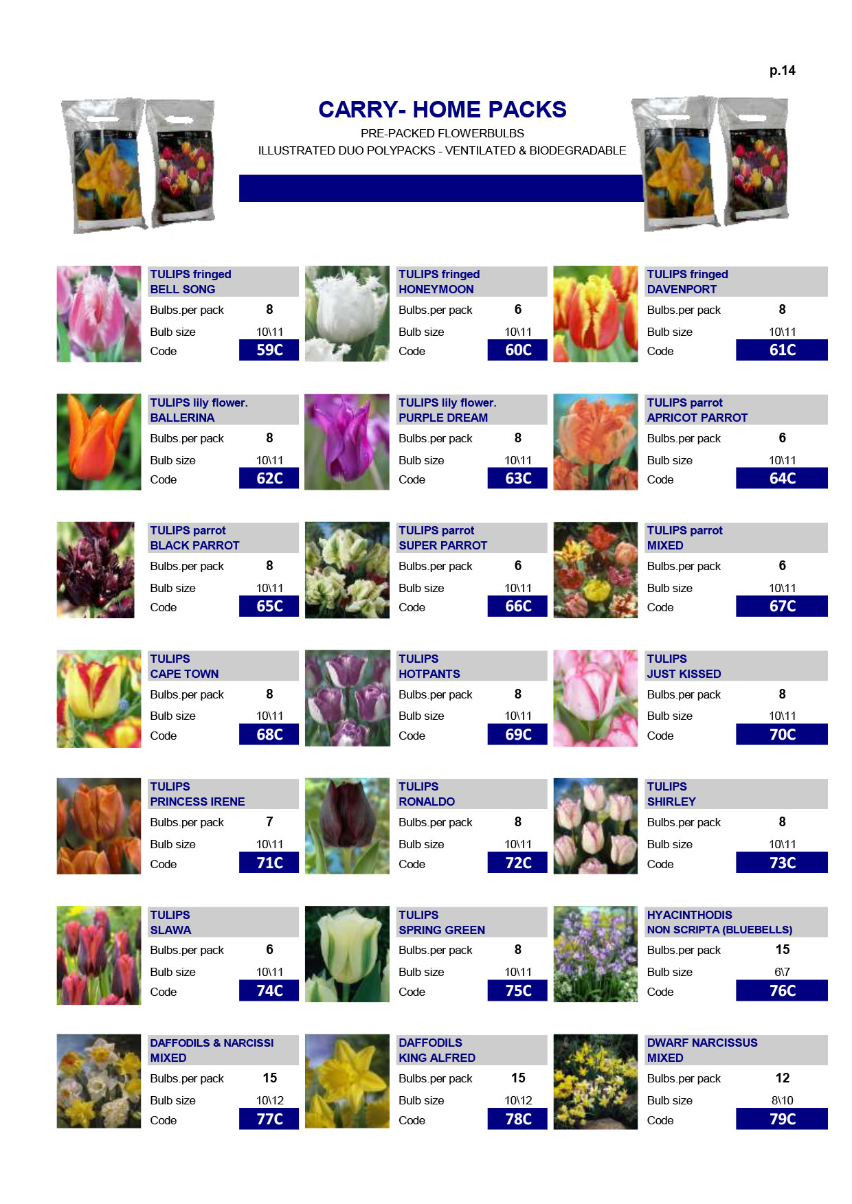 Summer Flowering Bulbs Spring Range