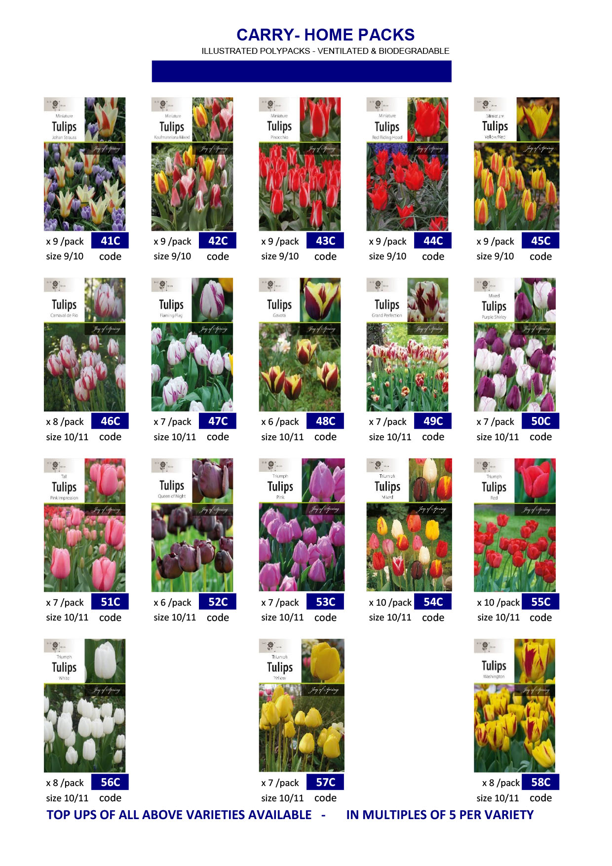 Wholesale Flower Bulbs, Potted Bulbs, Perennials & Lilies