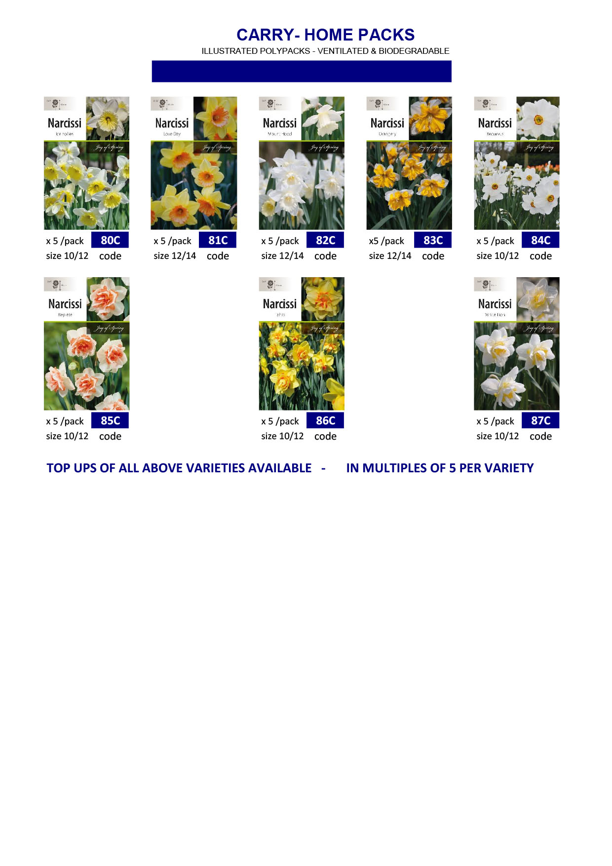 Wholesale Flower Bulbs, Potted Bulbs, Perennials & Lilies